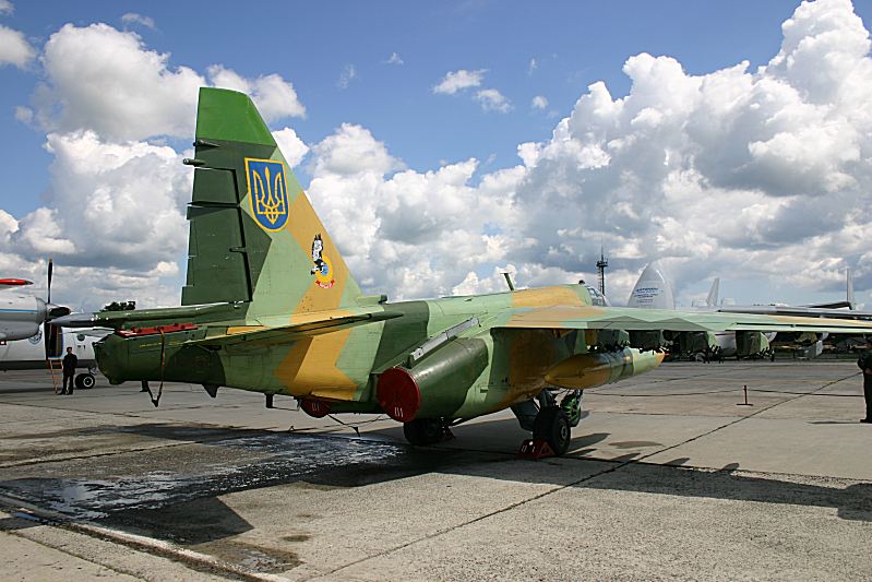 Su-25 color conumdrum - Jet Modeling - ARC Discussion Forums
