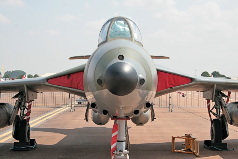 Splinter Camo Hawker Hunter - Aircraft Modern - Britmodeller.com