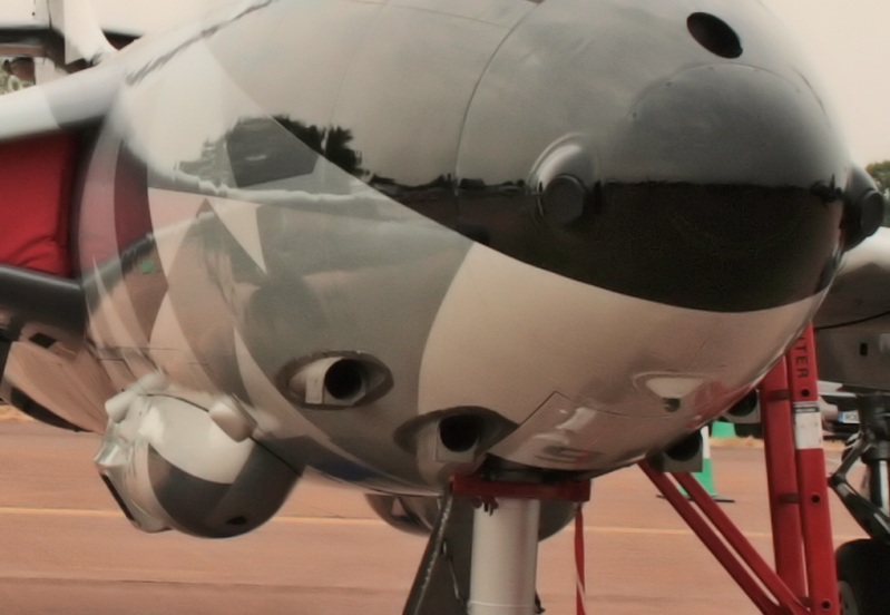 Splinter Camo Hawker Hunter - Aircraft Modern - Britmodeller.com